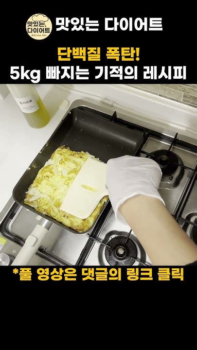 단백질 듬뿍 다이어트 김밥 양배추 두부 계란 이렇게 드세요 5kg 살 빠지는 간단하고 든든한 맛있는 영양 만점 다이어트 요리