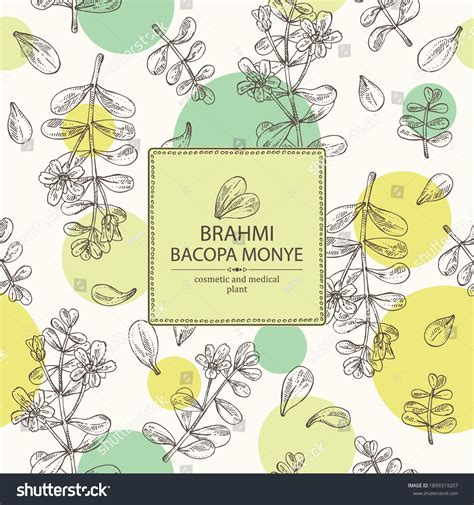 Brahmi Stock Vectors Images And Vector Art Shutterstock