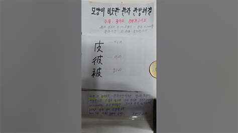 모양이 비슷한 한자 皮 彼 被 가죽피 저피 입을피 한자어 가장쉽게배우기 구분하는방법 2023년형 Youtube