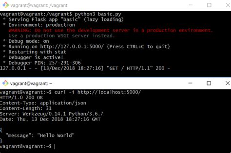 Unable To Access Werkzeug Server Running In Vagrant Machine From The Host Machine Stack Overflow