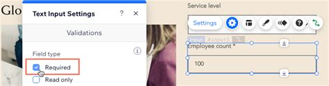 CMS About Validation Settings For Input Elements Help Center Wix Com