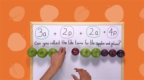 Watch How To Collect Like Terms In Algebra Bbc Bitesize