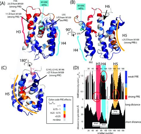 Analysis Of Paramagnetic Relaxation Enhancement Pre Data Of The Download Scientific Diagram