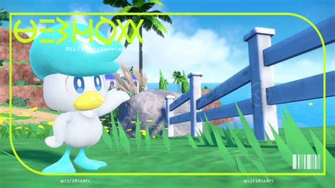 Best Held Items For Quaxly Quaxwell And Quaquaval In Pokémon Scarlet