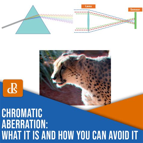 Chromatic Aberration What It Is And How You Can Avoid It