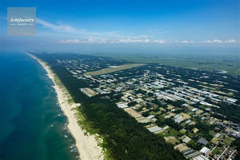 海岸の防風林と砂丘畑 花畑 果実 野菜畑と防風林 より庄内平野と庄内空港