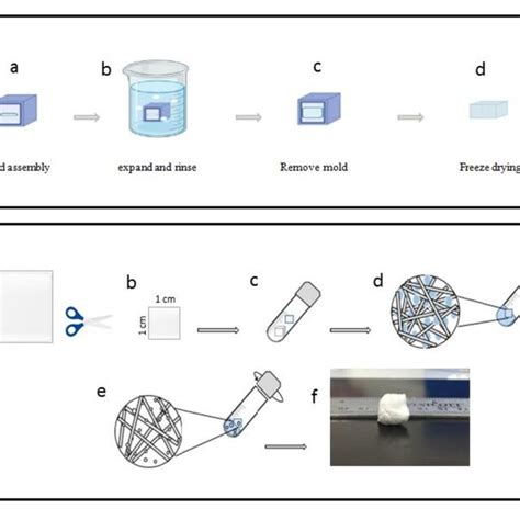 3d Scaffolds Fabricated With Post Processing Method I Modified Gas Download Scientific