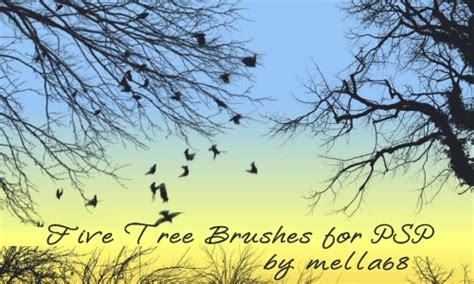 A Collection Of Useful Tree Brushes For Photoshop Naldz Graphics