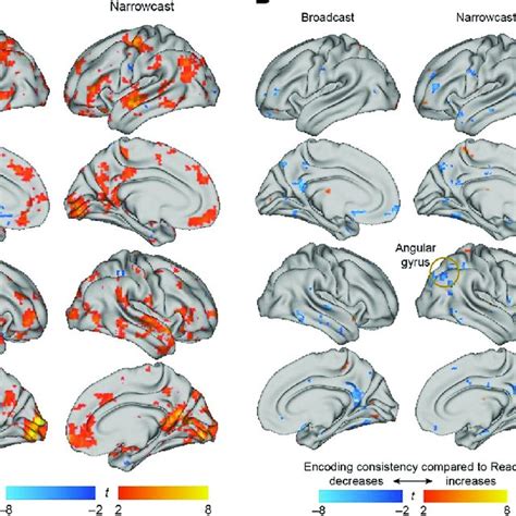 A Brain Regions Showing Significant Inter Subject Encoding Download Scientific Diagram