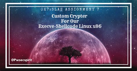 Slae Assignment 7 Custom Crypter For Our Execve Shellcode Linux X86