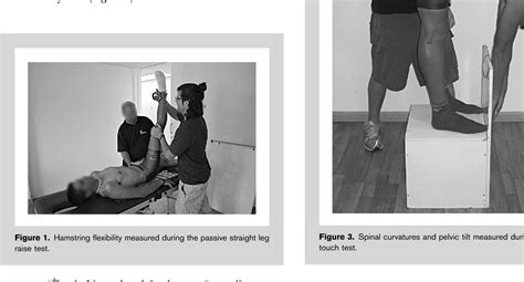 Figure 1 From Criterion Related Validity Of Sit And Reach And Toe Touch Tests As A Measure Of