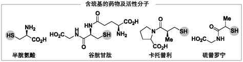 一种在巯基末端引入炔基二硫键的方法与流程