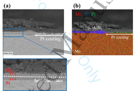 A Cross Sectional Sem Image And B Eds Mapping Analysis For A Sample