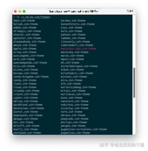 Iterm2安装配置使用指南——保姆级 知乎