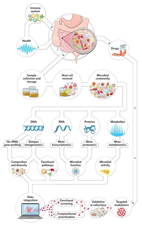 【问答集锦】轻松入门微生物组学,看这一篇就够了! 搜狐大视野 搜狐新闻 【问答集锦】轻松入门微生物组学,看这一篇就够了! 搜狐大视野 搜狐新闻