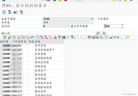 Sap Fico 会计科目 客户 供应商 公司代码（组）ob55创建工作清单满足报表查询需求 Sap查询公司代码 Csdn博客