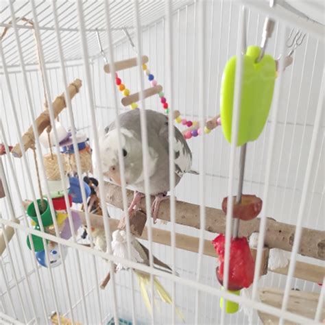 Badu Bg Нов държач за вилица за храна за птици Неръждаема стомана Хранилка за зеленчуци и