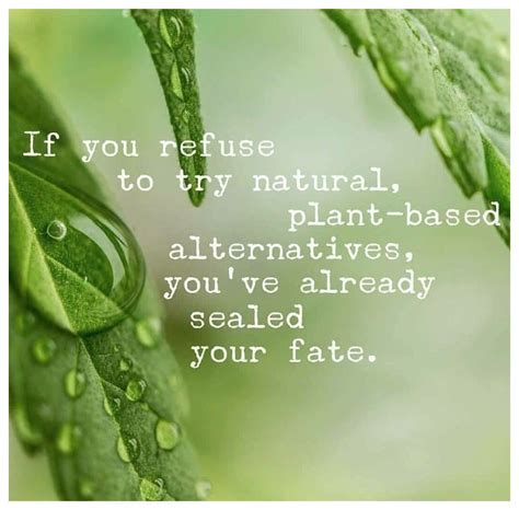 The Ultimate Guide To 11 Major Plant Cannabinoids Their Effects On The