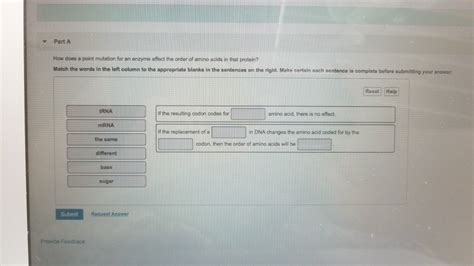 Solved Part A How Does A Point Mutation For An Enzyme Affect