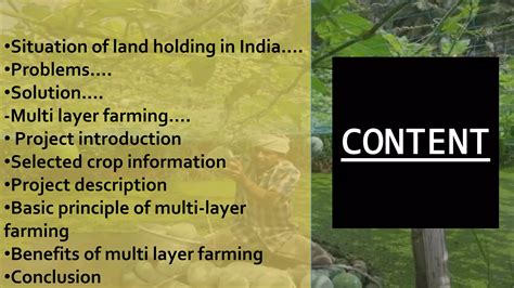 Multi Layer Farming System Pptx