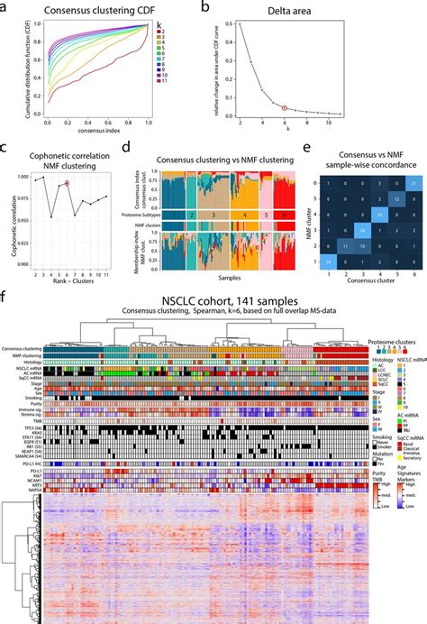 Consensus Clustering Vs Nmf Clustering Based On Proteome Data In Nsclc
