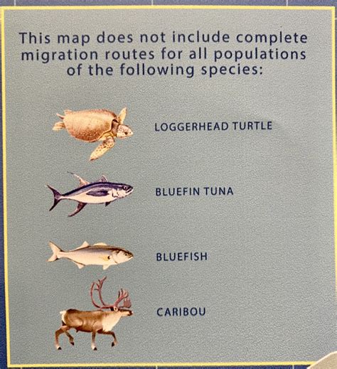 Species Migrate Insects Birds Mammals Humans Oaxaca Cultural