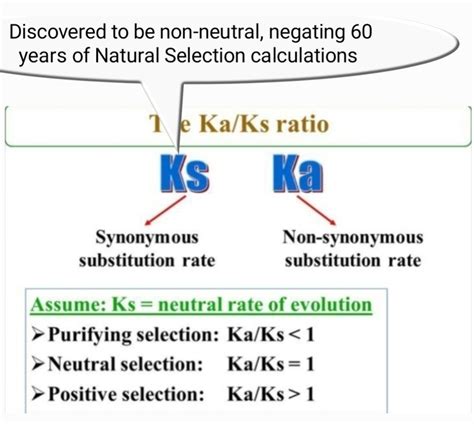 Nonsynonymous Synonymous Variants Demand For A Paradigm Shift In Genetics