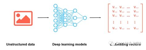 向量数据库简介和5个常用的开源项目介绍 阿里云开发者社区