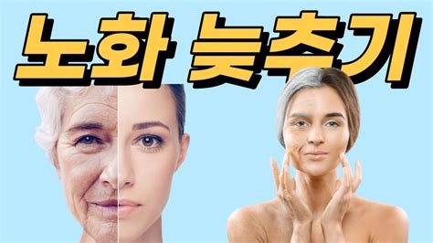 노화 늦추기 노화를 늦추는 방법 19가지 Youtube