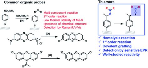 Comparison Of Previously Reported Organic Probes With Alkoxyamines