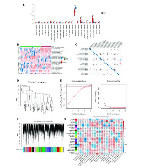 Immune Infiltration Analysis And Identification Of Macrophage Related Download Scientific