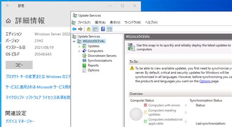 山市良のえぬなんとかわーるど（アーカイブ） Windows Server 2022 の Wsus って