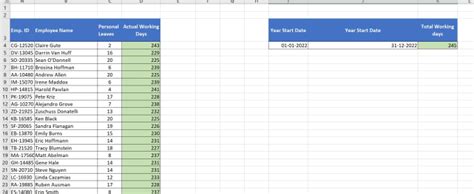 create custom excel spreadsheet with formulas and dashboard by