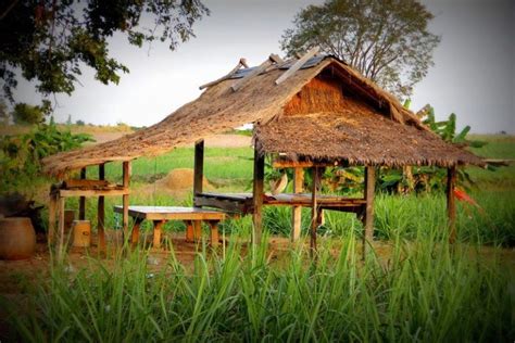 ปักพินในบอร์ด กระท่อมปลายนา