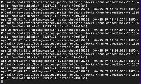 How To Run An Avalanche Node Avax Node Requirements