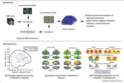 Figure 2 From Large Scale Brain Networks And Psychopathology A