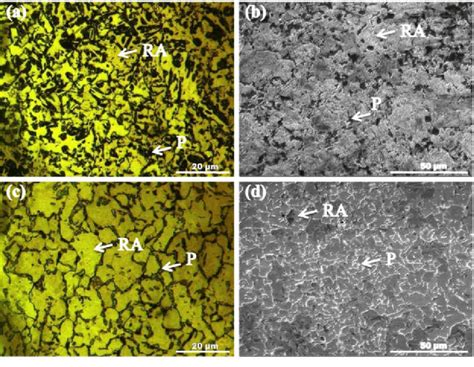 Microstructure Of Tmda Treated A Optical Micrograph B Sem
