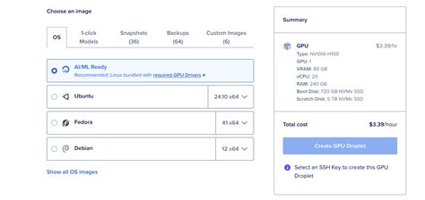 How To Deploy Deepseek R1 In The Cloud