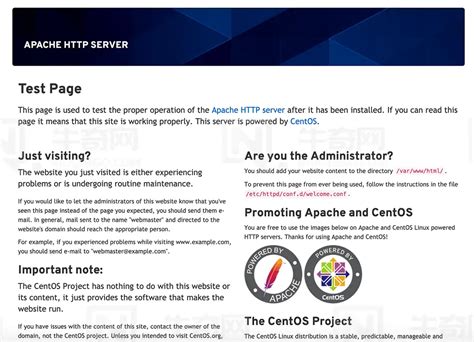 如何在 centos 8 上安装 apache 服务器和配置虚拟主机 牛奇网