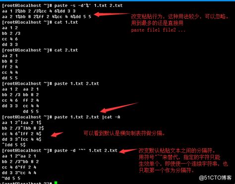 Linux下部分文件管理类基本命令汇总以及bash展开特性介绍bash 路径 展开 Csdn博客