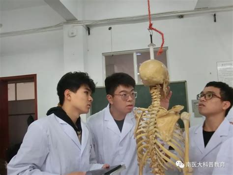系解开课宣誓仪式：举起右臂，共同致敬“大体老师” 基础医学院