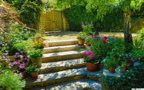 16 10 Wallpaper Nature 1920x1080 Wallpaper