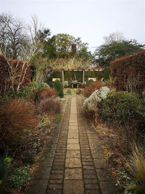 Shrub Walkway The Zedt