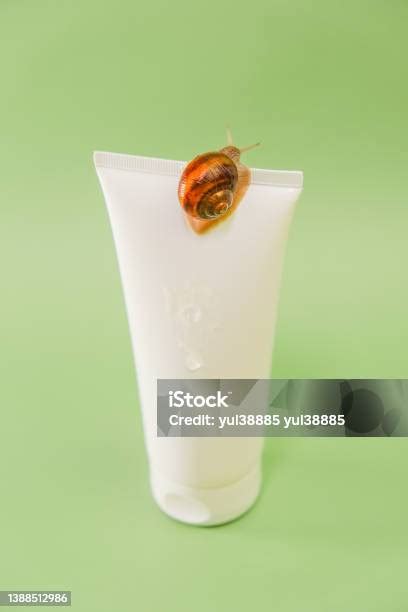 달팽이 화장품 달팽이 추출물 녹색 배경에 흰색 튜브에 달팽이 달팽이 점액이있는 유기농 천연 화장품 화장품 튜브 0명에 대한 스톡 사진 및 기타 이미지 Istock