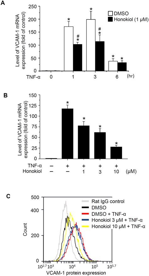 Honokiol Suppressed Tnf α Induced Adhesion Molecule Expression A Download Scientific Diagram