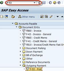 How To Post Outgoing Vendor Payments In SAP Guru Software