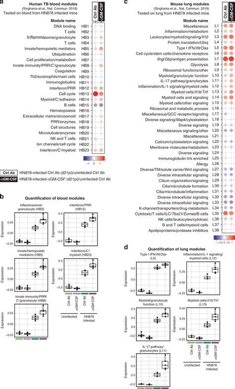 GM CSF Controls Transcriptional Signatures Associated With TB Download Scientific Diagram