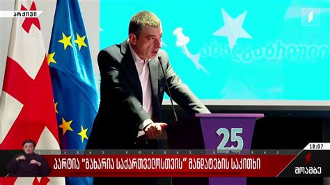 პარტია „გახარია საქართველოსთვის მანდატების“ საკითხი Youtube