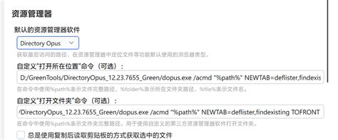 设置默认资源管理器是否只能支持安装版软件 Quicker