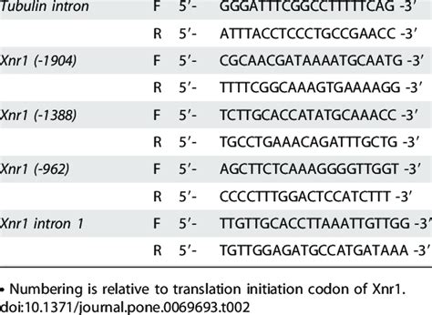 Pairs Of Primers Used In Chromatin IP Analysis Download Table
